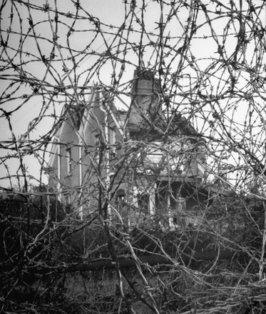 19 Barbed wire entanglement Stock Pictures, Editorial Images and Stock ...