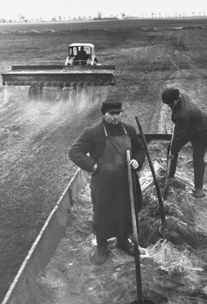Workers Spreading Artificial Fertilizer Collective Farm Editorial Stock ...