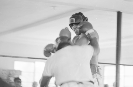 Professional Boxer Muhammad Ali Engaged Practice Editorial Stock Photo ...