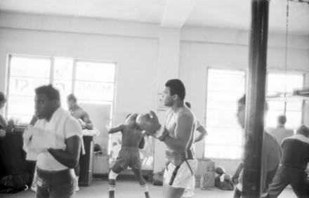 Professional Boxer Muhammad Ali Group People Editorial Stock Photo ...