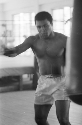 Professional Boxer Muhammad Ali White Shorts Editorial Stock Photo ...