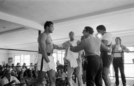 Professional Boxer Muhammad Ali Having Conversation Editorial Stock ...