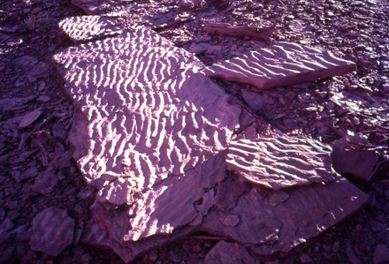 Ripples Triassic Sandstone Circa 1953 Editorial Stock Photo - Stock ...