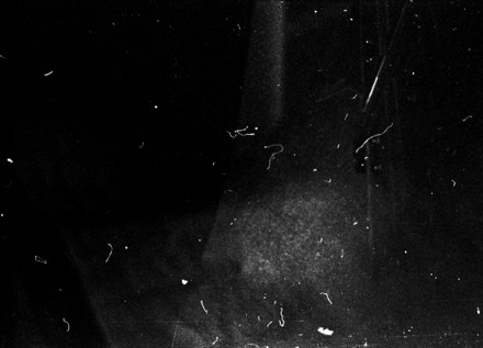 Dark Unidentifiable Image John Shearers Shoot Editorial Stock Photo ...