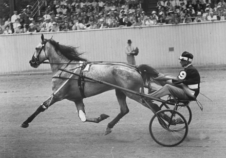 Man Riding Racehorse Greyhound During Hambletonian Editorial Stock ...