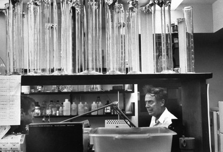 Authorbiologist James Watson R Talking Swiss Editorial Stock Photo ...