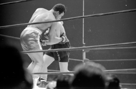 Professional Boxers Muhammad Ali Oscar Bonavena Editorial Stock Photo ...