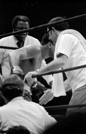 Professional Boxer Muhammad Ali Standing His Editorial Stock Photo ...