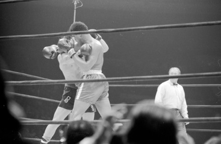Professional Boxers Muhammad Ali Oscar Bonavena Editorial Stock Photo ...