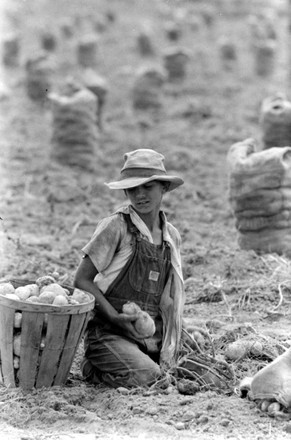 1,000 1950s immigration Stock Pictures, Editorial Images and Stock ...