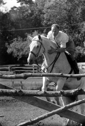 Harry De Layer Riding Famous Jumping Editorial Stock Photo - Stock ...