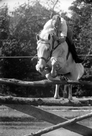 Harry De Layer Riding Famous Jumping Editorial Stock Photo - Stock ...