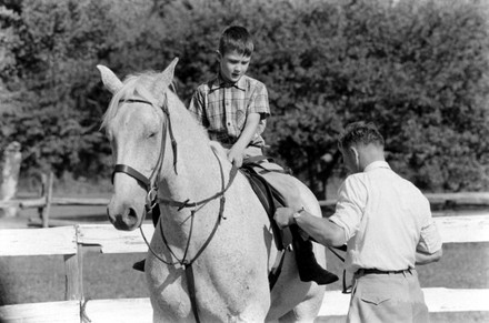 Harry De Layer Riding Famous Jumping Editorial Stock Photo - Stock ...