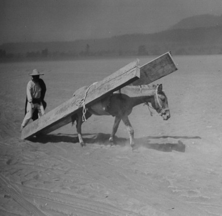 2 Mule packs Stock Pictures, Editorial Images and Stock Photos ...