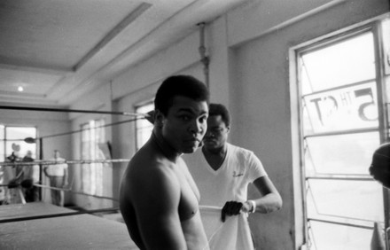 Professional Boxer Muhammad Ali Unidentified Man Editorial Stock Photo ...