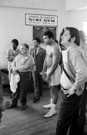 Professional Boxer Muhammad Ali Professional Boxer Editorial Stock ...
