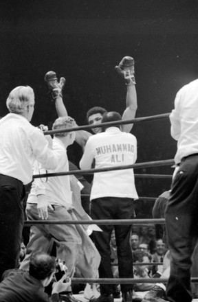 Professional Boxer Muhammad Ali His Cornermen Editorial Stock Photo ...