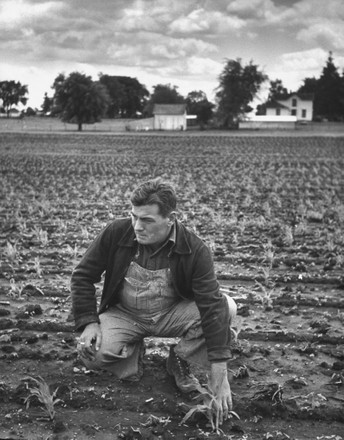 Farmer Overlooking Farm That Prospering Use Editorial Stock Photo ...