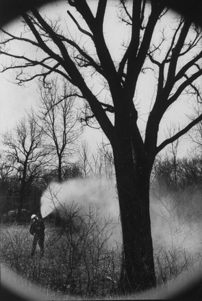 Man Spraying Elm Trees Wisconsin Prevent Editorial Stock Photo - Stock ...