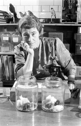 13 Miriam rothschild Stock Pictures, Editorial Images and Stock Photos ...