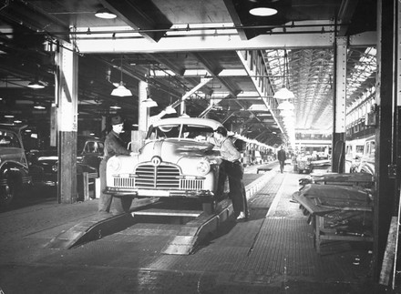 14 Torpedo plant Stock Pictures, Editorial Images and Stock Photos ...