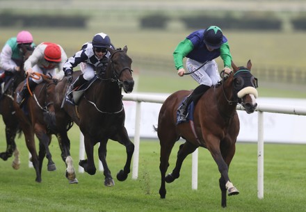 Jf Dunne Insurances Business Club Handicap Editorial Stock Photo ...