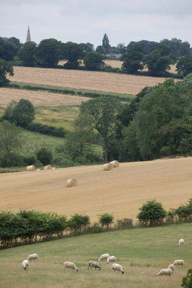 Rolling English Farmland Britain Editorial Stock Photo - Stock Image ...
