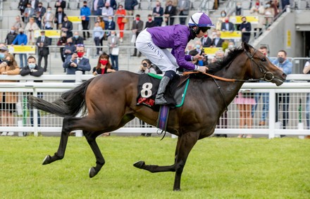 Curragh Racing, The Curragh Racecourse, Newbridge, Kildare - 26 Jun ...