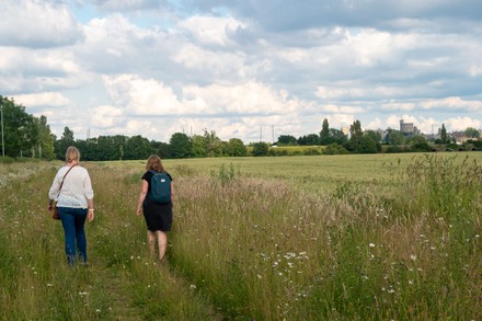 27 Distant farms Stock Pictures, Editorial Images and Stock Photos ...