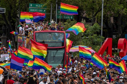 Group Lgbt Community Hold Rainbow Flags Editorial Stock Photo - Stock ...
