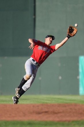 Winnipeg Goldeyes Infielder Kevin Lachance 1 Editorial Stock Photo ...