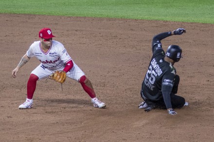 Toros Of Tijuana v Diablos Rojos - Mexican Baseball Match, Mexico City ...