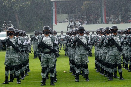 Groups Battalions Mexican Army Including Canine Editorial Stock Photo ...