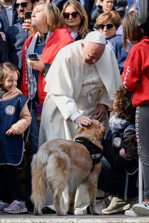 Pope Francis General Weekly Audience, Vatican City, Vatican - 30 Oct ...