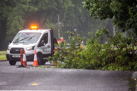Fallen Tree Blocks Road Bramhope Near Editorial Stock Photo - Stock ...