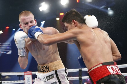 Joe Noynay vs Liam Wilson, Sydney, Australia - 07 Jul 2021 Stock Pictures, Editorial Images and ...