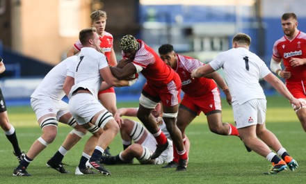 Joe Peard Wales Charges Forward Editorial Stock Photo - Stock Image ...