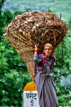 __COUNT__ imágenes de Daily Life In Himachal Pradesh, Broat, India - 04 ...