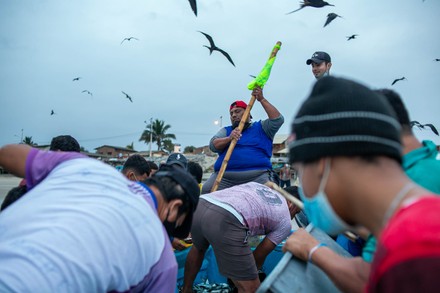 10 Crucita region Stock Pictures, Editorial Images and Stock Photos ...