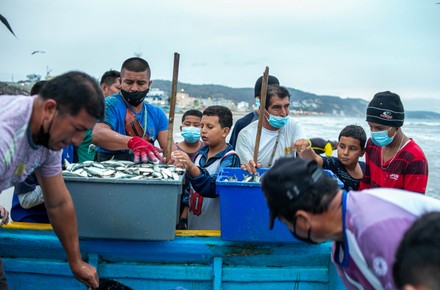10 Crucita region Stock Pictures, Editorial Images and Stock Photos ...