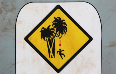 Sign Warning Danger Falling Coconuts Anakena Editorial Stock Photo ...