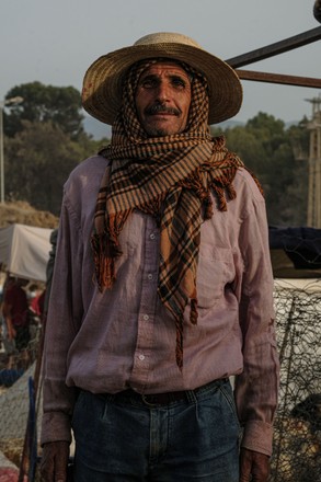 Sheep Merchant Posing Photo Livestock Sheep Editorial Stock Photo ...