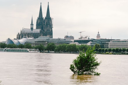 250 Flood in cologne Stock Pictures, Editorial Images and Stock Photos ...