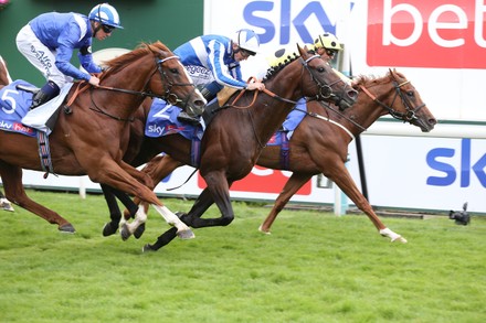 250 King power racing Stock Pictures, Editorial Images and Stock Photos ...