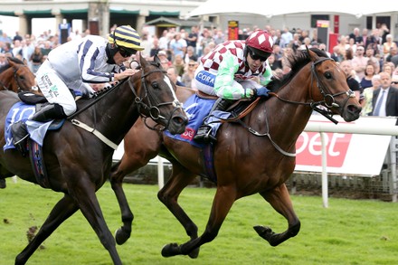 Horse racing, York Races - 24 Jul 2021 Stock Pictures, Editorial Images ...