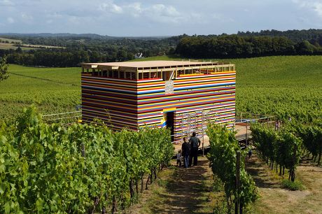 James Mays Lego House Denbies Vineyard Editorial Stock Photo - Stock ...
