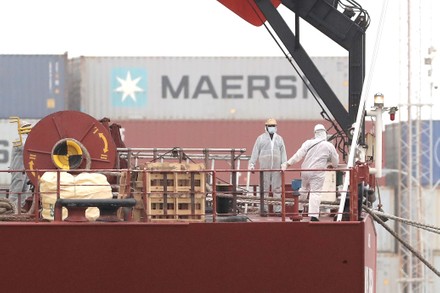 Bulk Carrier Mv Darya Krishna Docks Redakčních stock fotografií – stock ...