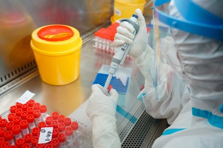 Staff Member Works Temporary Laboratory Nucleic Editorial Stock Photo ...