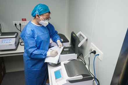 Staff Member Works Temporary Laboratory Nucleic Editorial Stock Photo ...