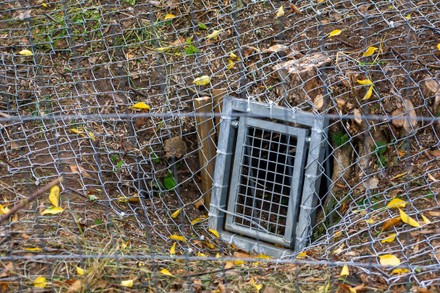 14 Badger one way gates Stock Pictures, Editorial Images and Stock ...